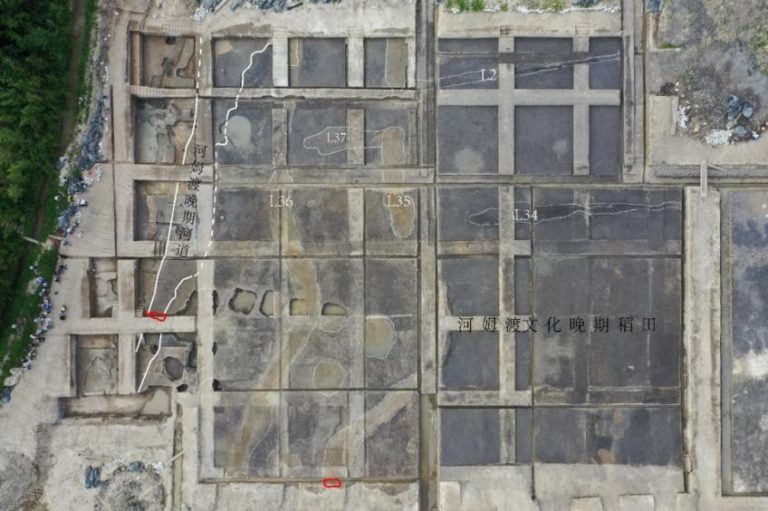 Tang Center for Early China